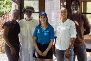 Bee Observatory Action Learning